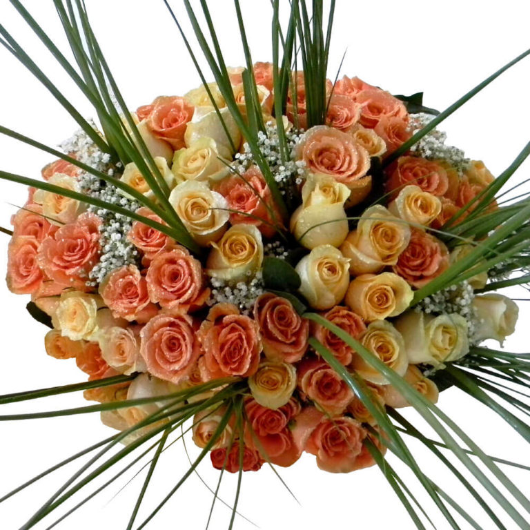 Escalonado de 24 Rosas y Peluche - Florería La Fleur, para Nacimientos