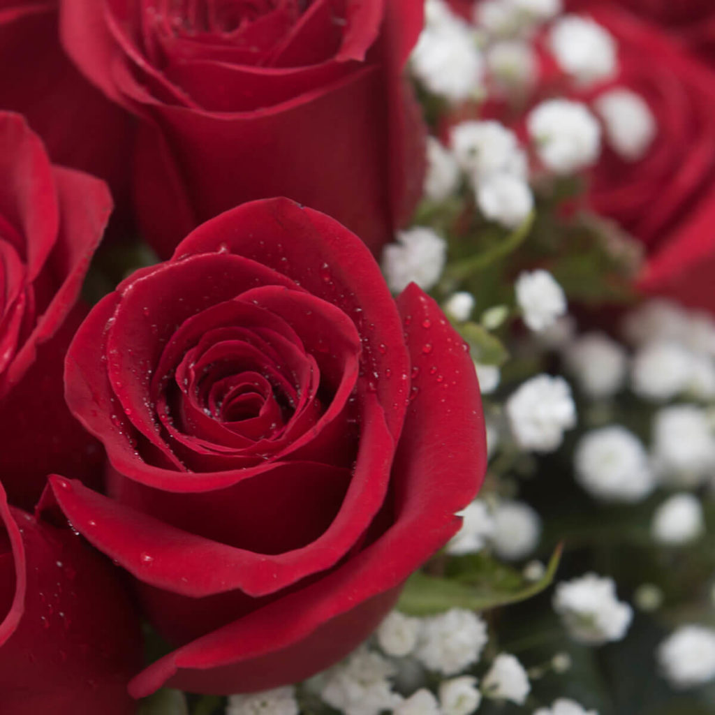 Arreglo de 24 Rosas en 3 Niveles - Florería La Fleur - Envío de Flores UY